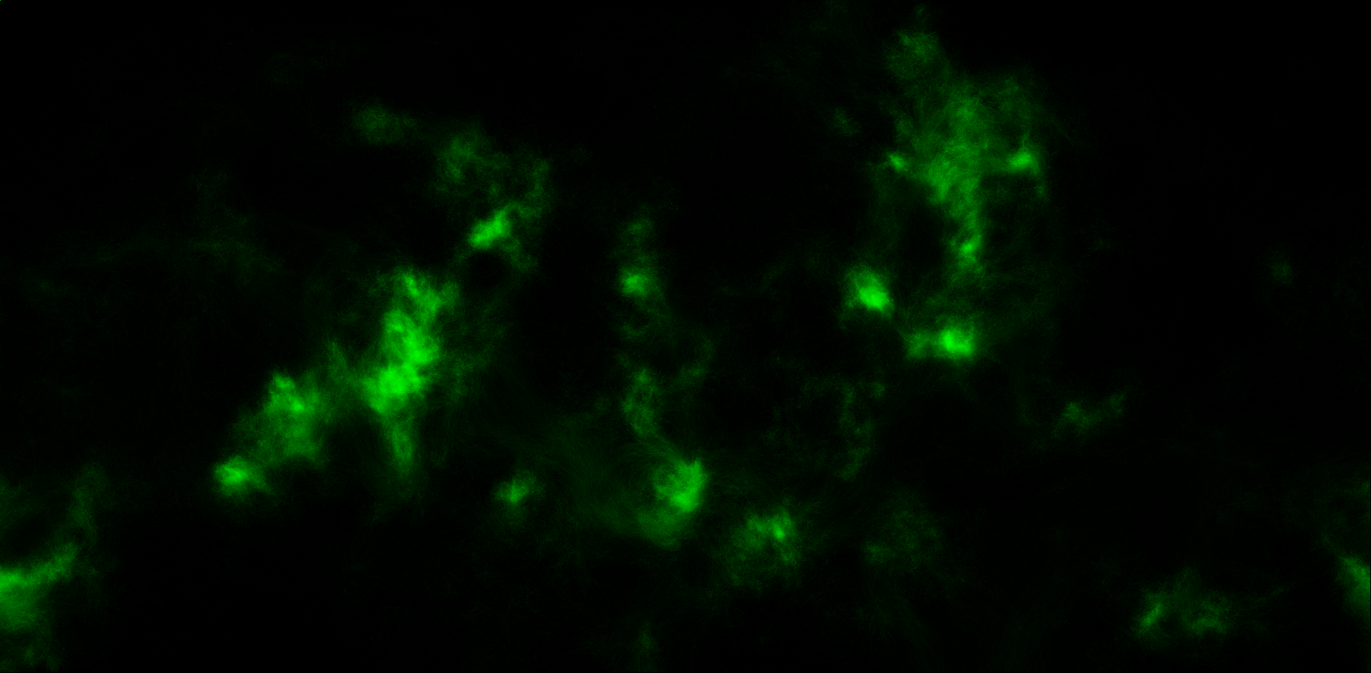 QiiQ Healthcare – Improve emergency department workflow!